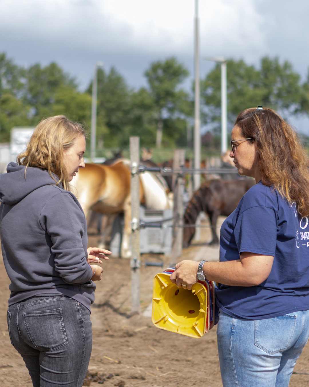 Supervisie voor Paardencoaches - SR Paardencoaching & Re-integratie